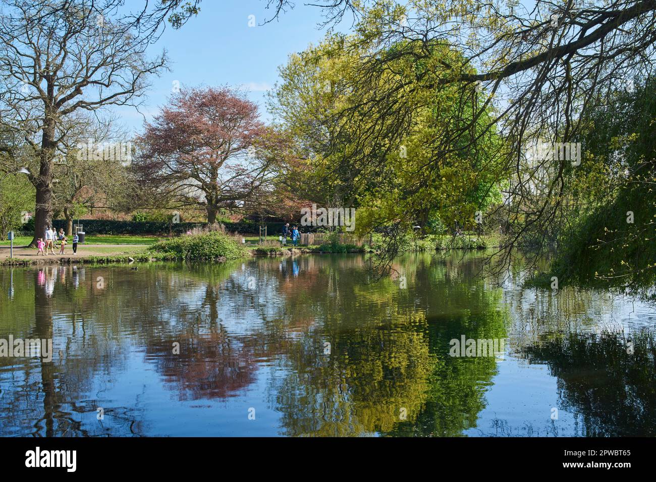 Ornamental lake at Broomfield Park, Palmers Green, north London UK, in ...