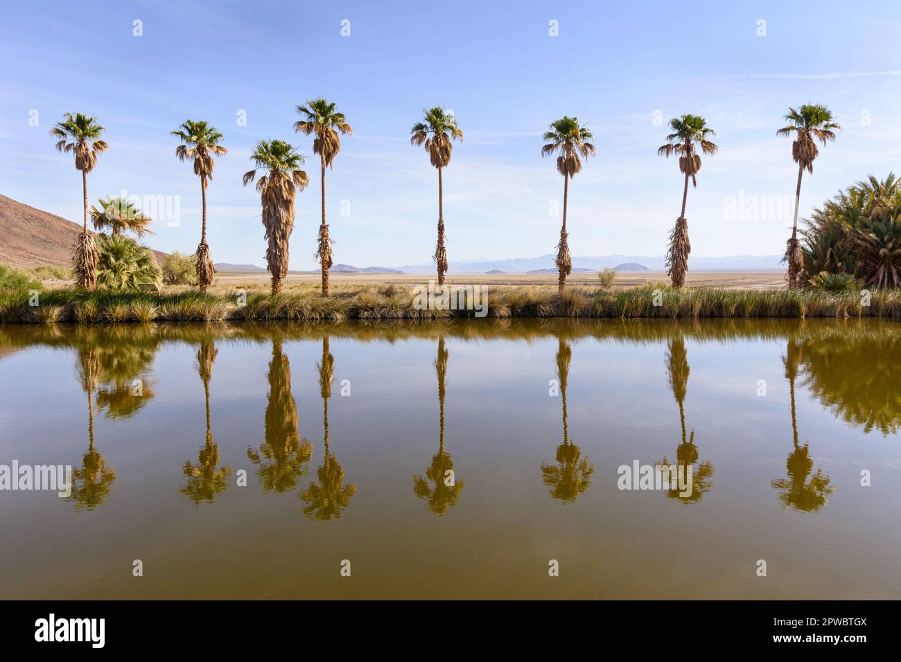 Lake Tuendae is an artificial pond at the Desert Studies Center in ...