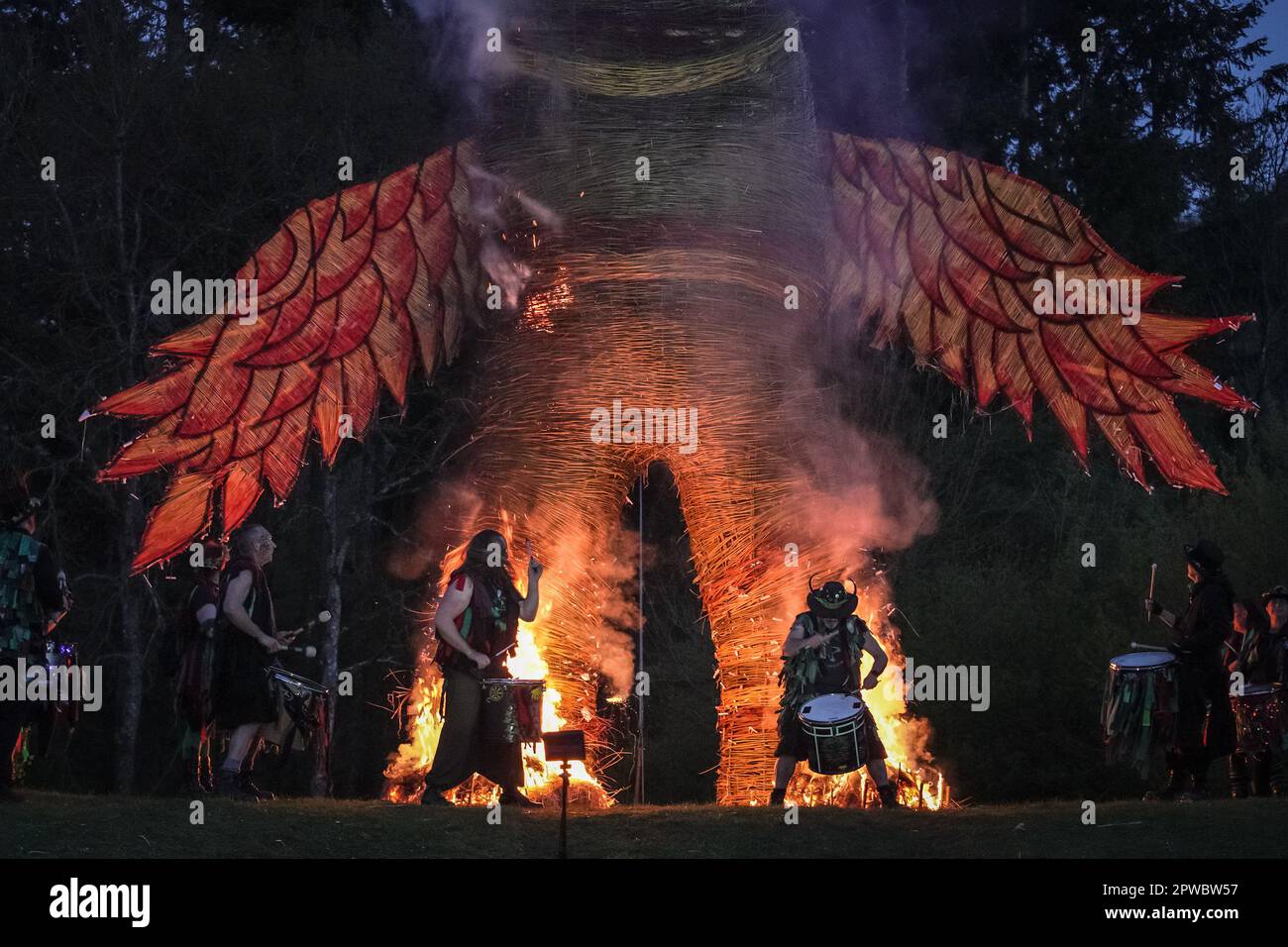 Hampshire, UK. 29th April 2023. Celtic Fire Festival: Burning the ...