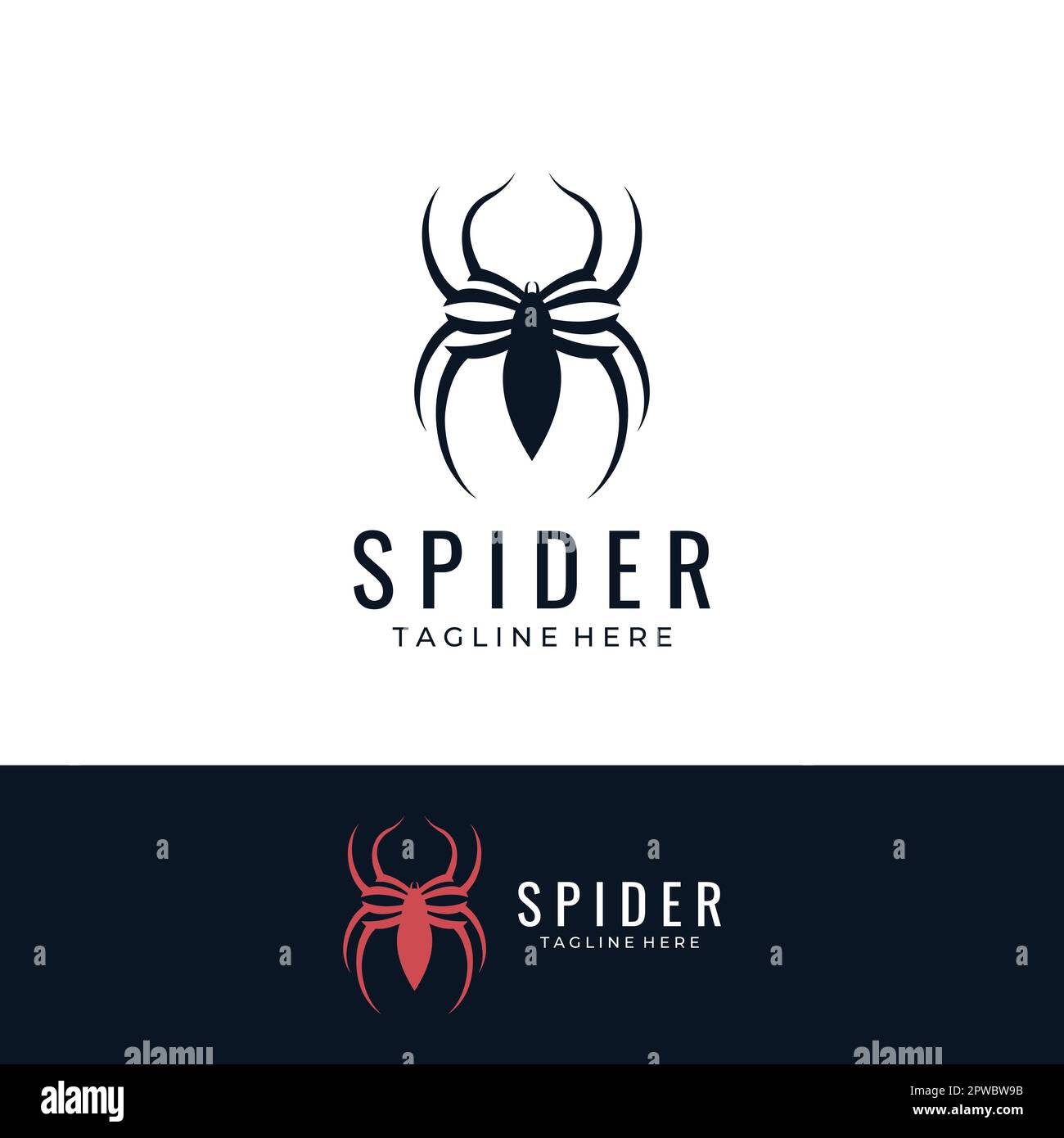 Spider and web with negative space Stock Vector Images - Alamy