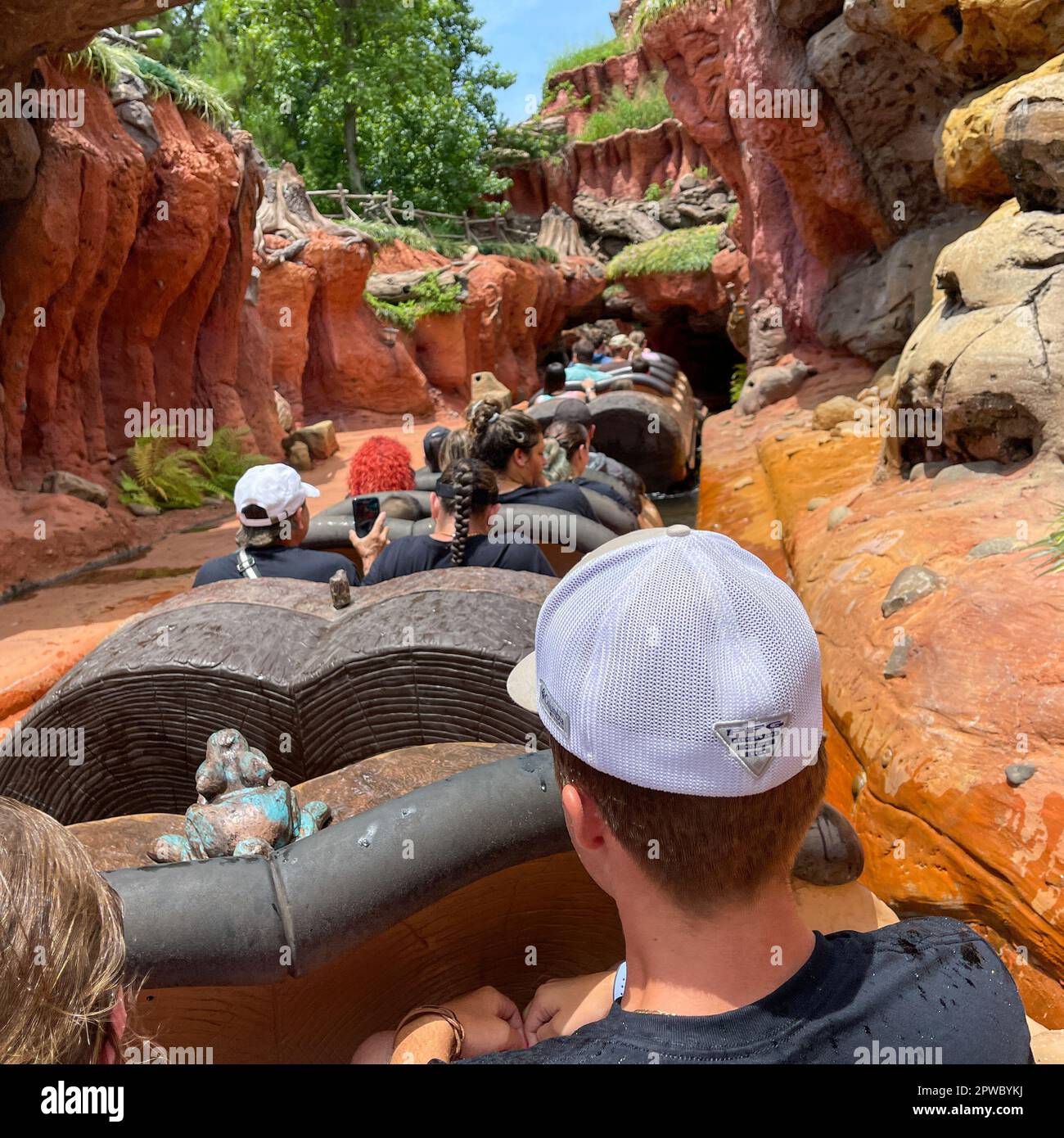 Orlando, FL USA - July 5, 2021: The Water ride Splash Mountain at Walt ...