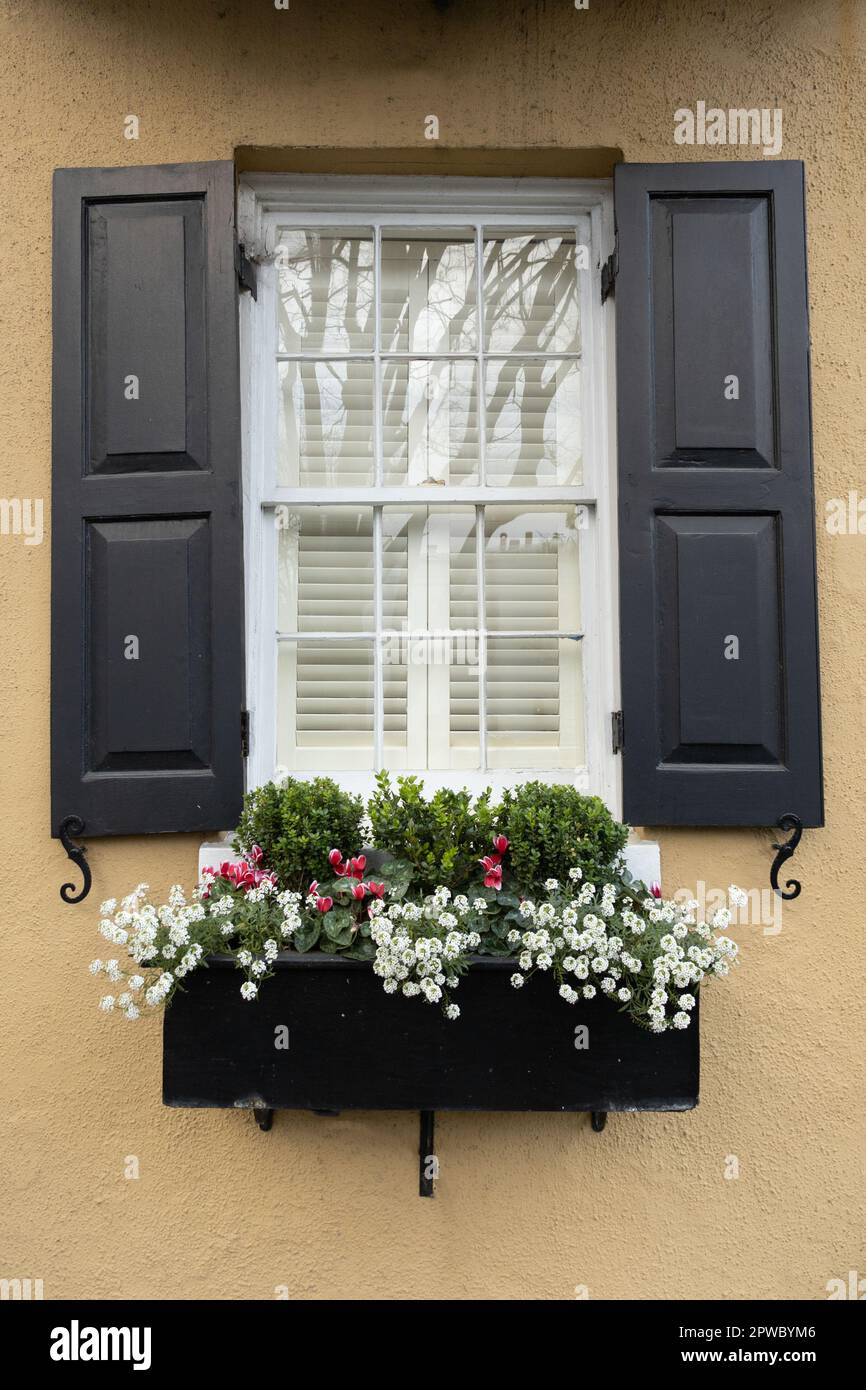 Close up of the color windows of a colonial era home in Charleston ...