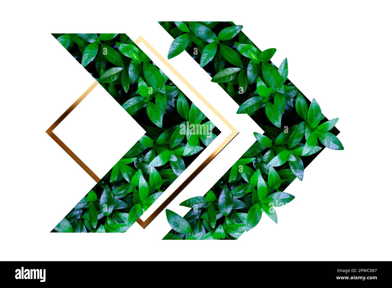 Green leaves texture in the form of an arrow. Mockup for natural and ...
