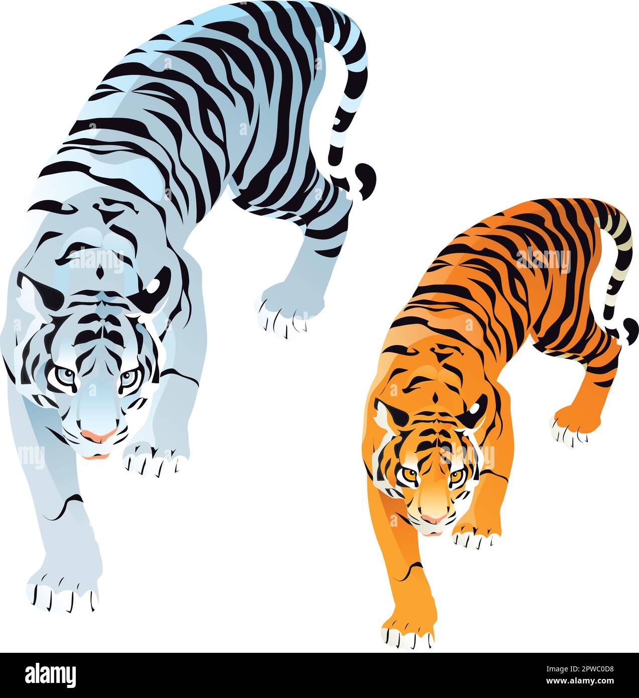 Tigers- Cartoon and vector animals Stock Vector Image & Art - Alamy