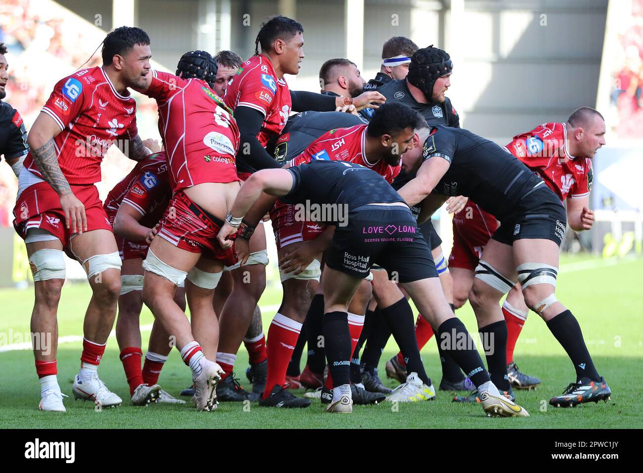 Llanelli, UK. 29th Apr, 2023. Josh Macleod of Scarlets (6) has his ...