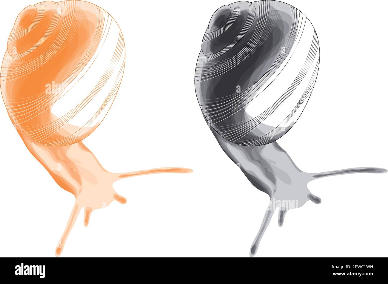 Slug, vector illustration Stock Vector Image & Art - Alamy