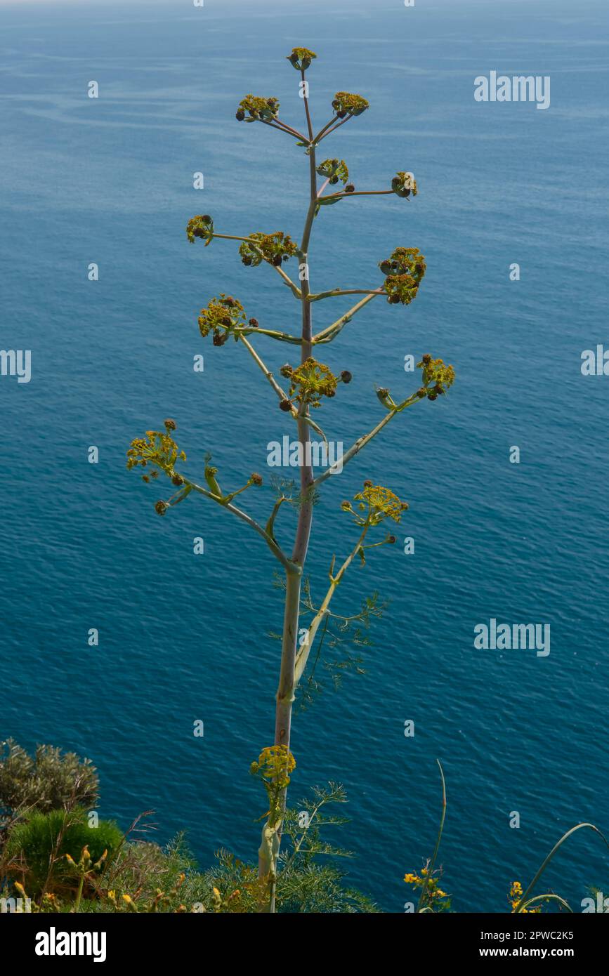 Fort mogren hi-res stock photography and images - Alamy