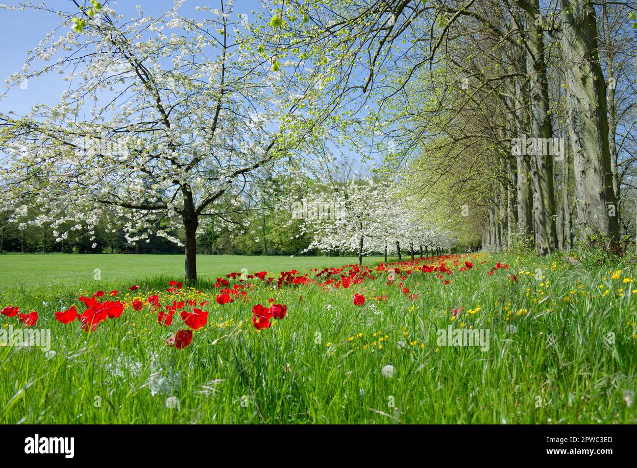 Chris mead hi-res stock photography and images - Alamy