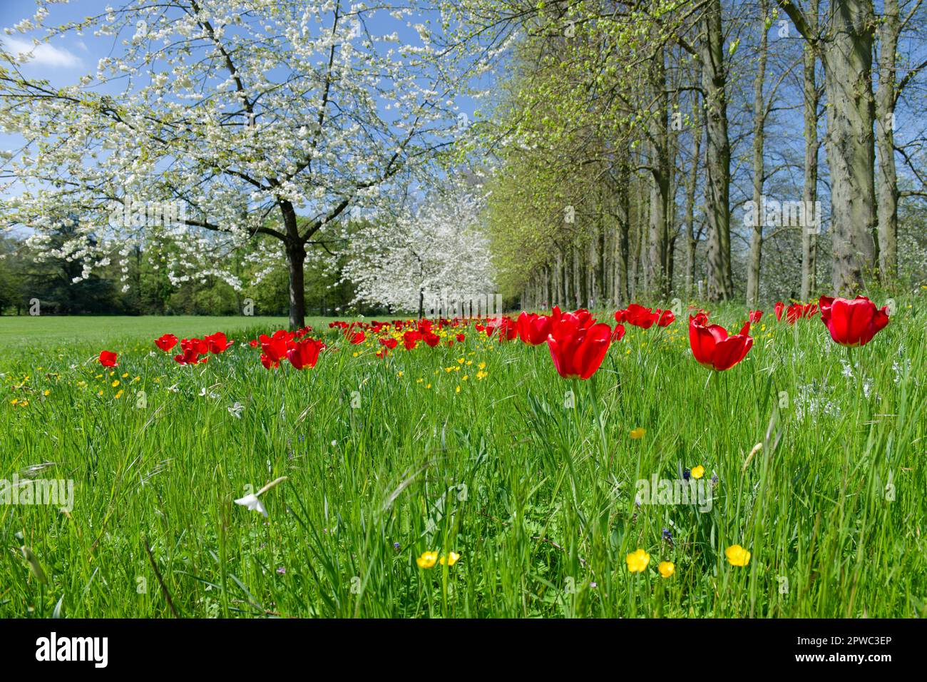 Chris mead hi-res stock photography and images - Alamy