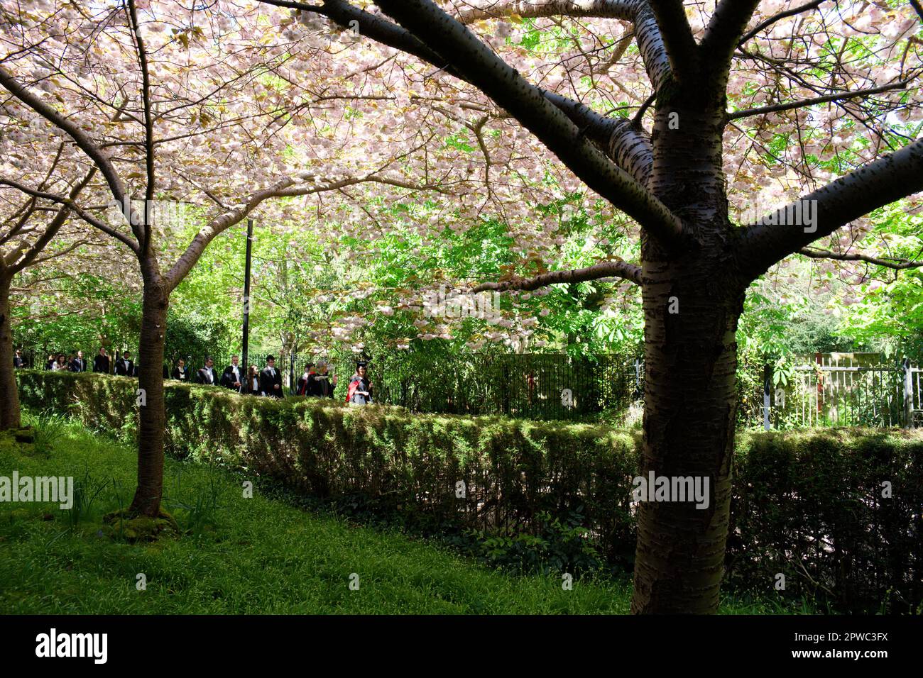 Chris mead hi-res stock photography and images - Alamy