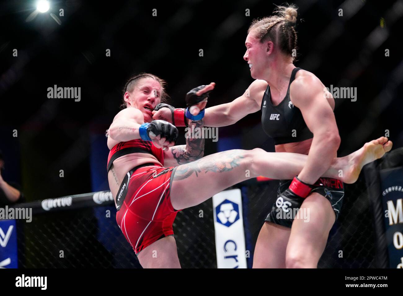 Hailey cowan hi-res stock photography and images - Alamy