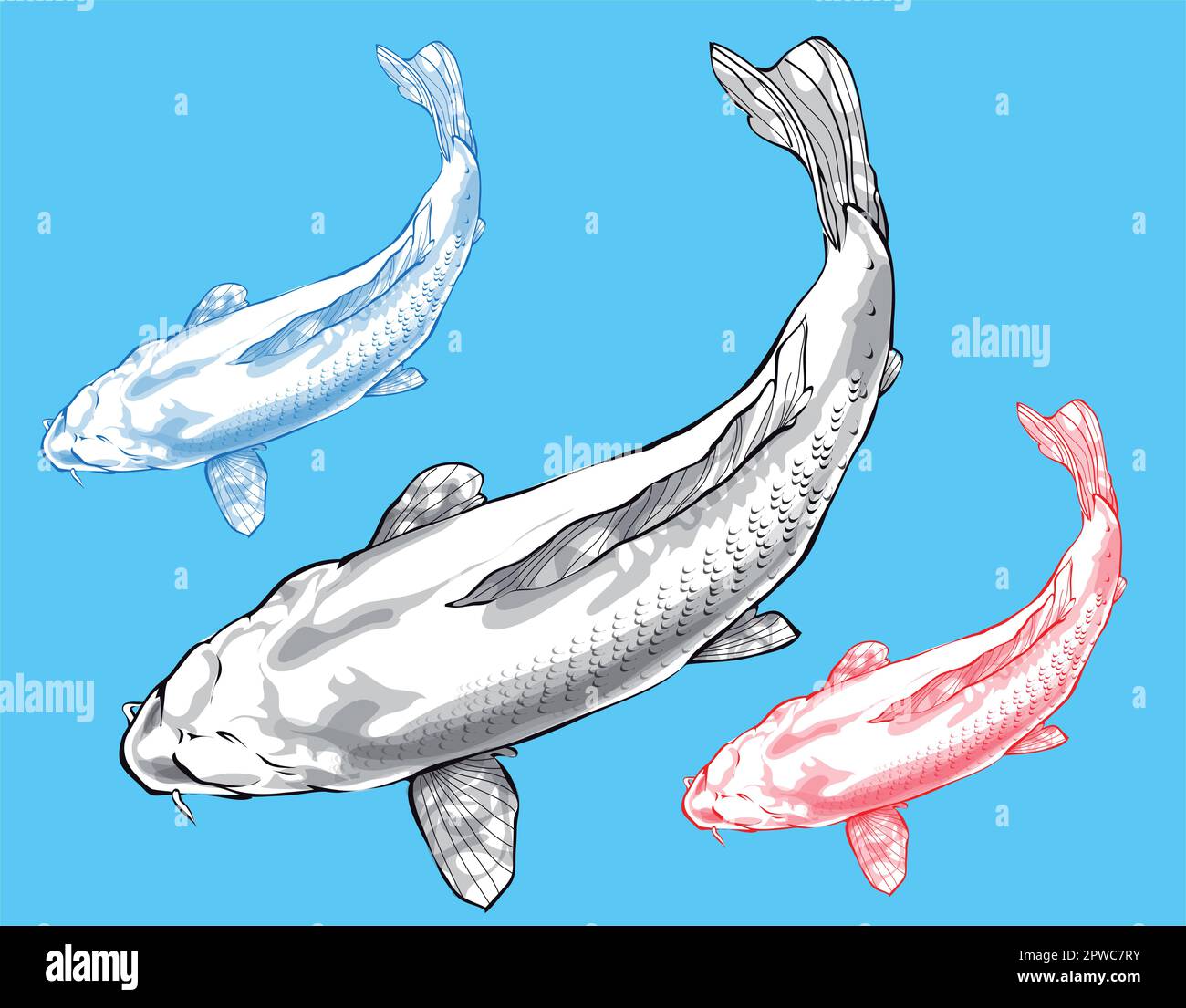 Fishes, vector illustration Stock Vector Image & Art - Alamy