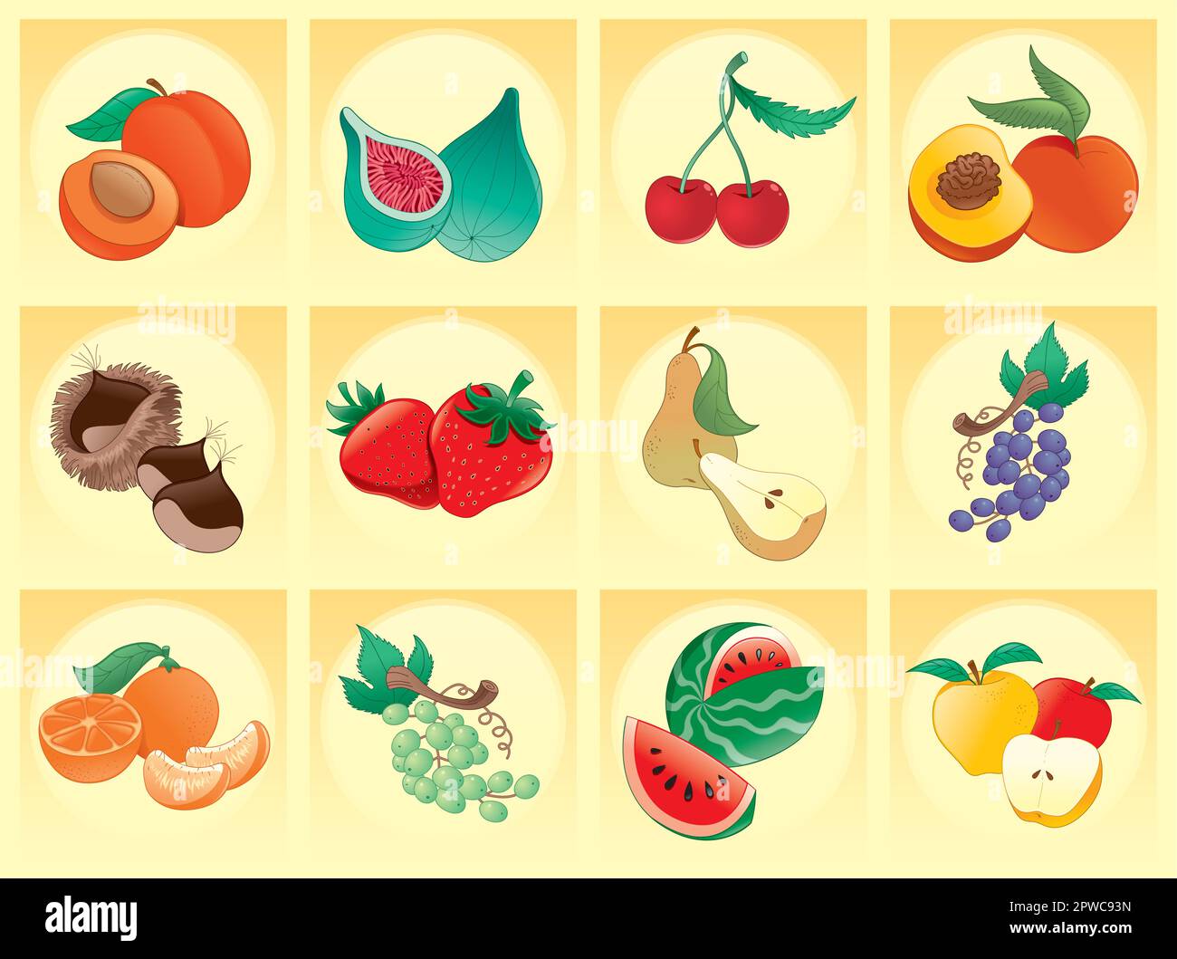 Fruit with background- vector and cartoon illustration Stock Vector ...