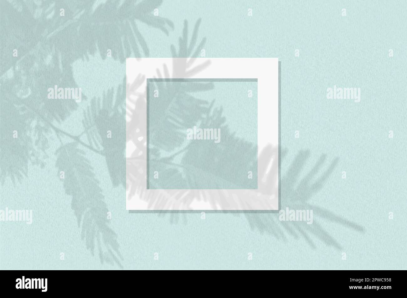 Natural light casts shadows from the tui branch on square frames of ...