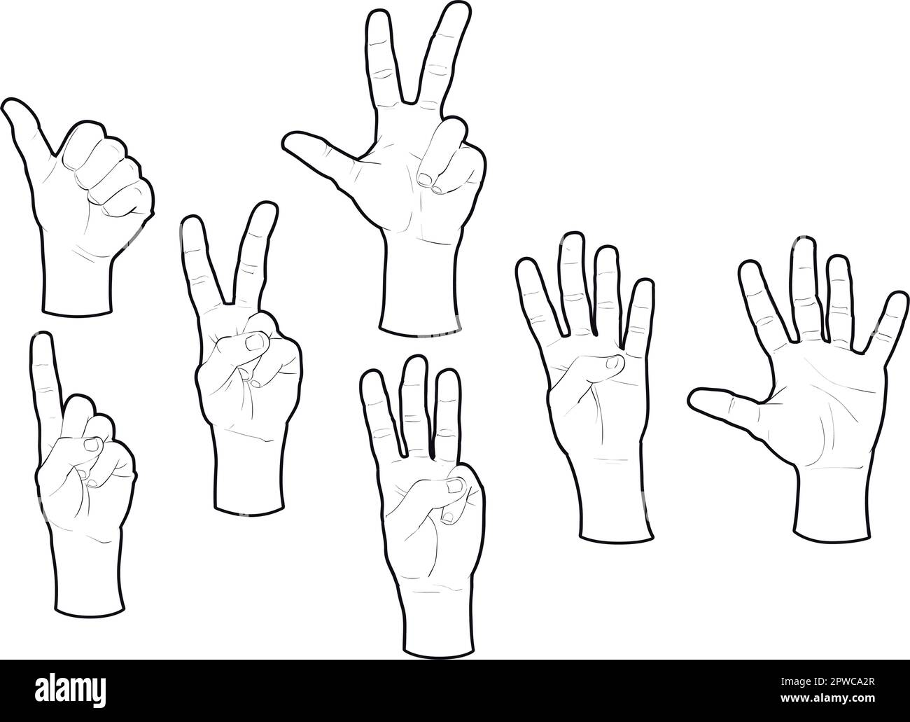 Hands and numbers. Vector isolated objects Stock Vector Image & Art - Alamy