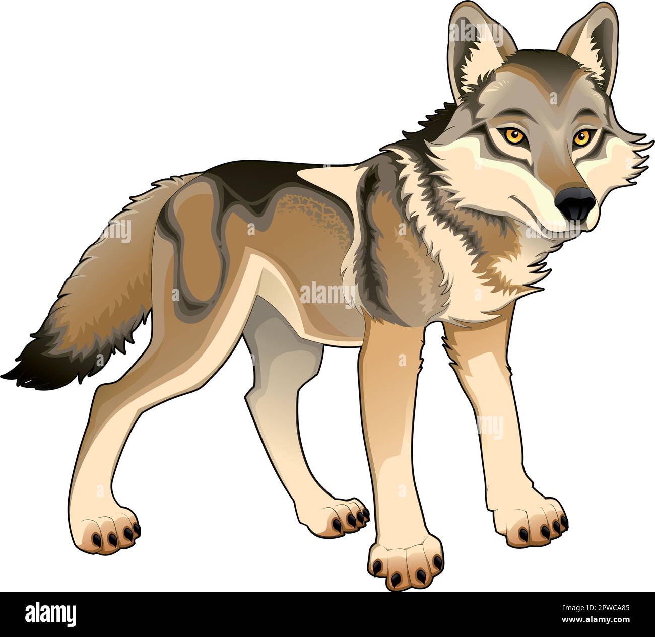 Wolf. Vector and cartoon isolated character Stock Vector Image & Art ...