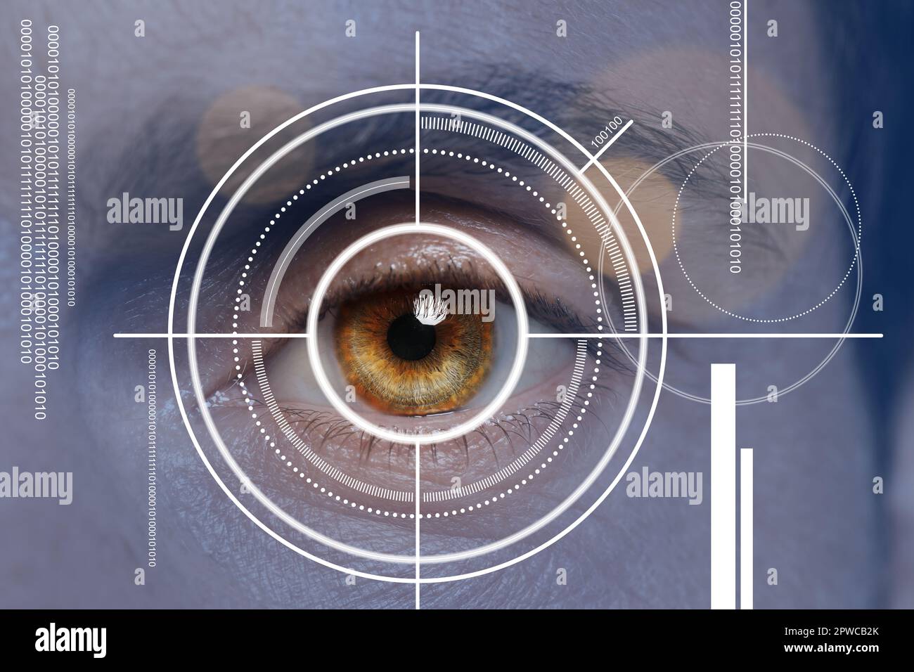 Human sight process hi-res stock photography and images - Alamy