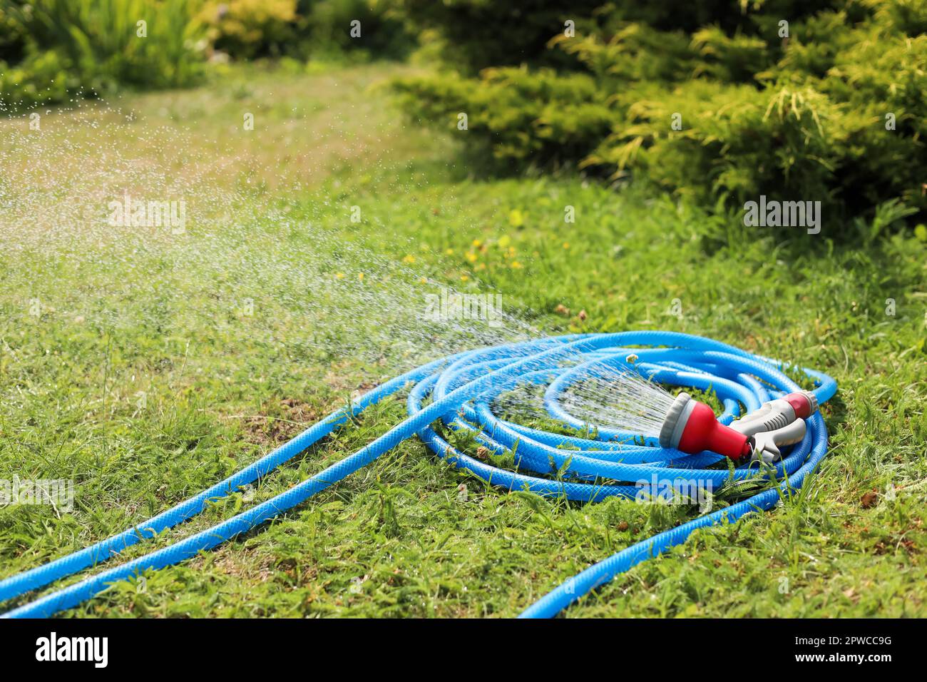 Water spraying from hose on green grass outdoors Stock Photo - Alamy