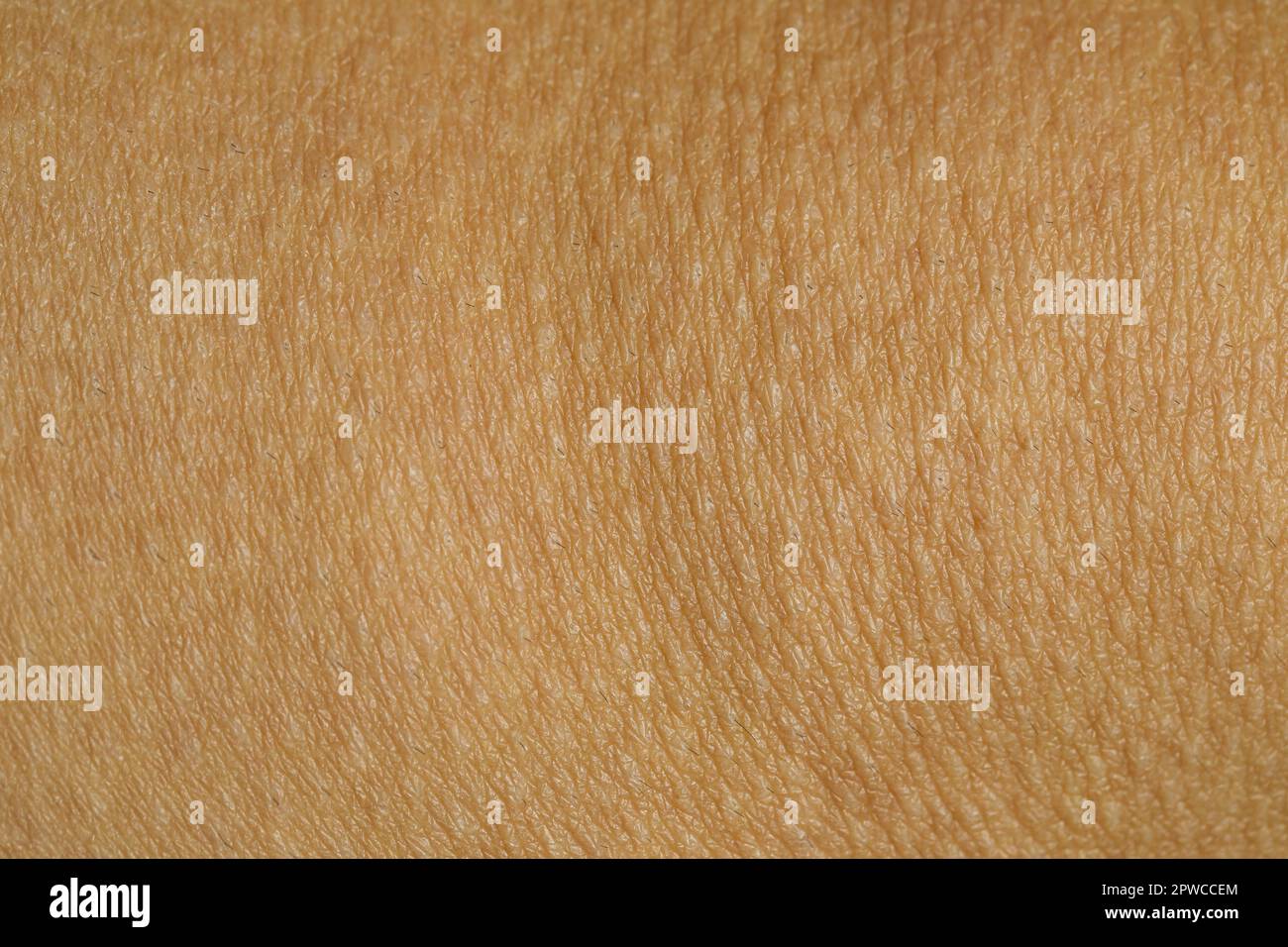 Texture of human skin as background, closeup view Stock Photo - Alamy