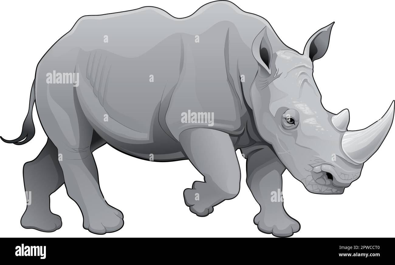 Rhinoceros. Vector isolated animal Stock Vector Image & Art - Alamy