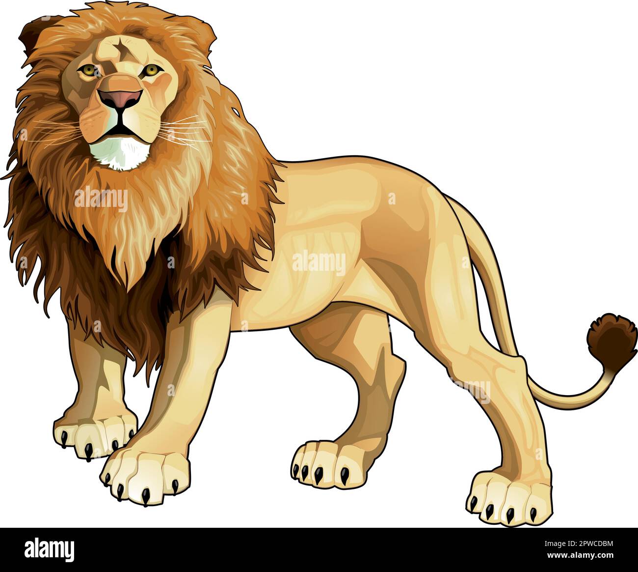 Lion king. Vector isolated animal Stock Vector Image & Art - Alamy