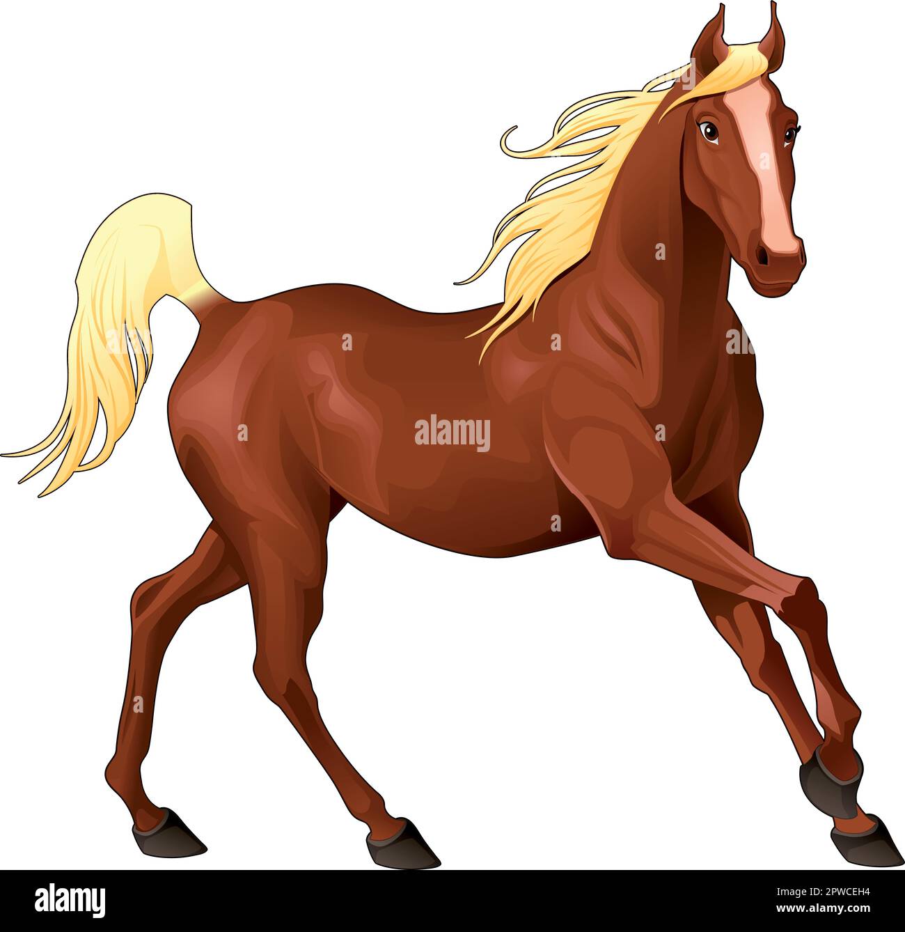 Elegant horse. Isolated vector animal Stock Vector Image & Art - Alamy