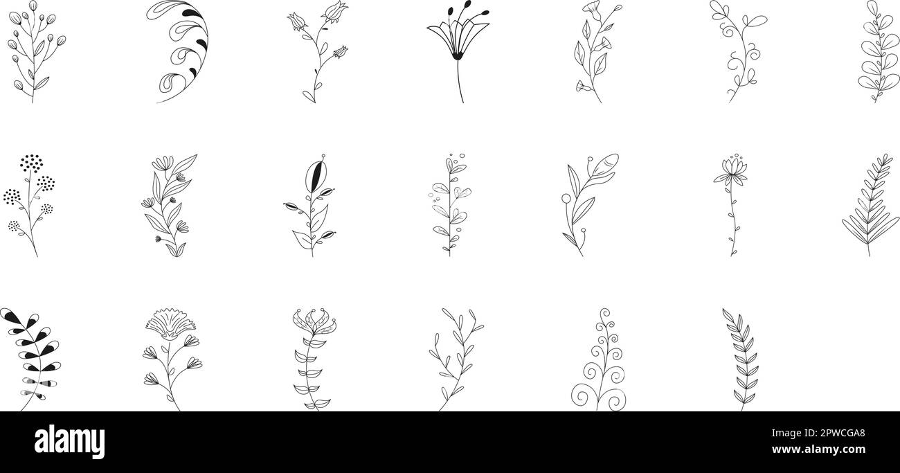 Vector botanic illustrations. Botanical clipart. Set of line art ...