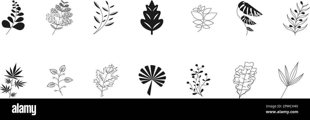 Tropical leaves line art. Monstera leaf outline, doodle jungle ferns ...