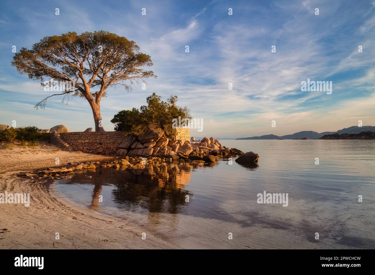 Beach and pines, Plage de Palombaggia, Porto Vecchio, Corse-du-Sud, Corsica, Mediterranean Sea ...