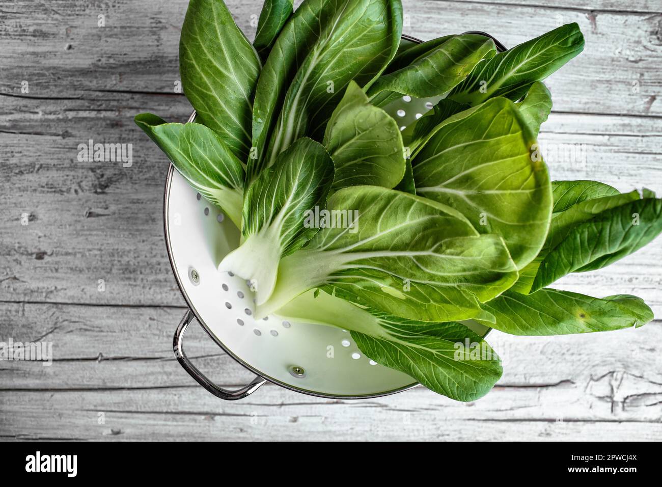 Freshly washed leaves of pak choi, Chinese mustard cabbage Stock Photo ...
