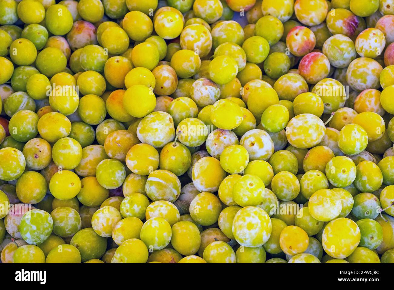 Yellow plums for sale at a market Stock Photo - Alamy