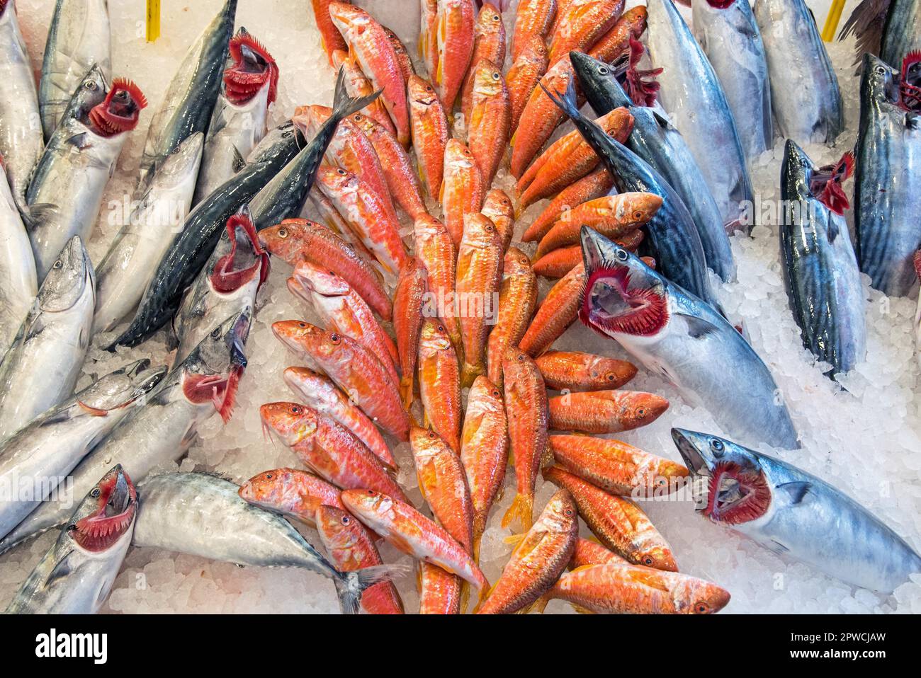Fresh fish on offer at a market in Istanbul Stock Photo - Alamy