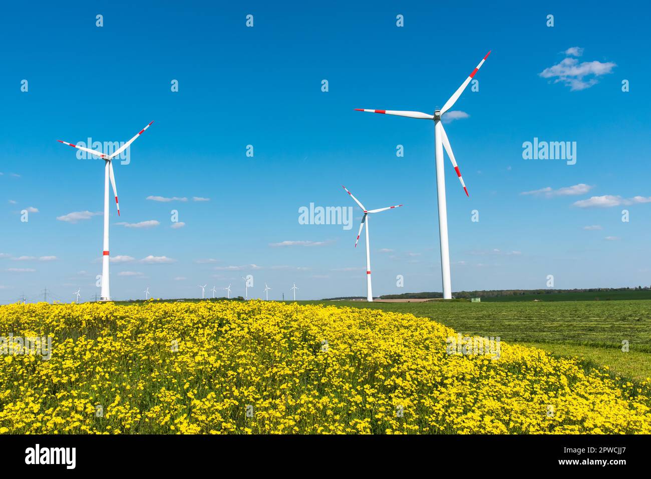 Wind turbines and yellow flowers in rural Germany Stock Photo - Alamy