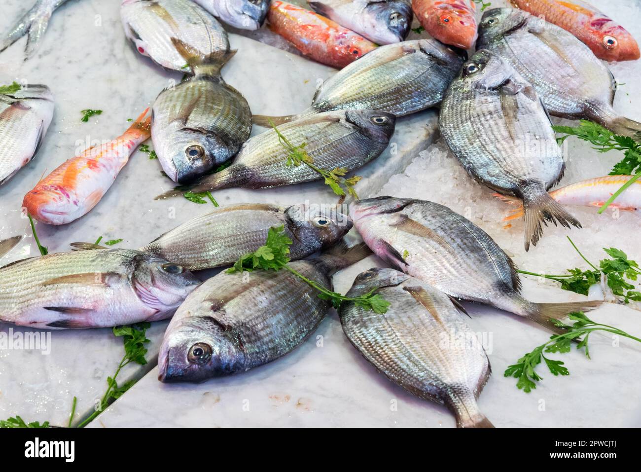 Fresh fish at a market in Palermo, Sicily Stock Photo - Alamy