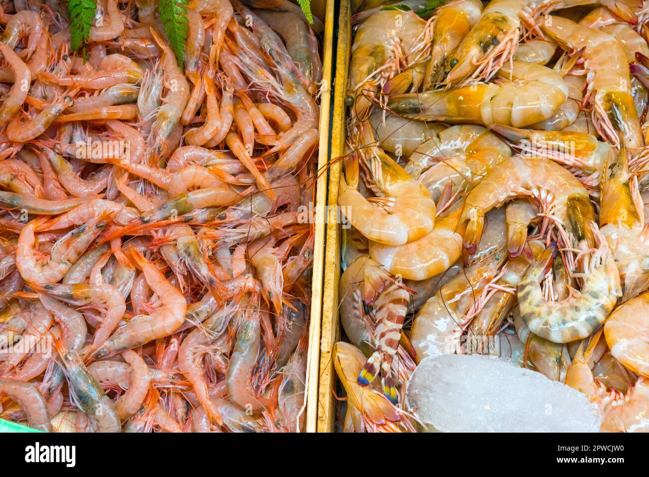 Various prawns at the famous Boqueria market in Barcelona Stock Photo ...