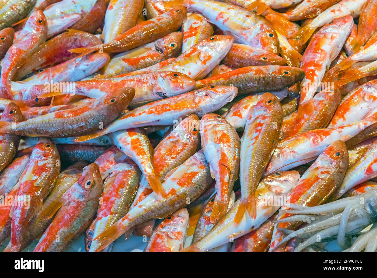 Red mullets for sale at a market in Palermo, Sicily Stock Photo - Alamy