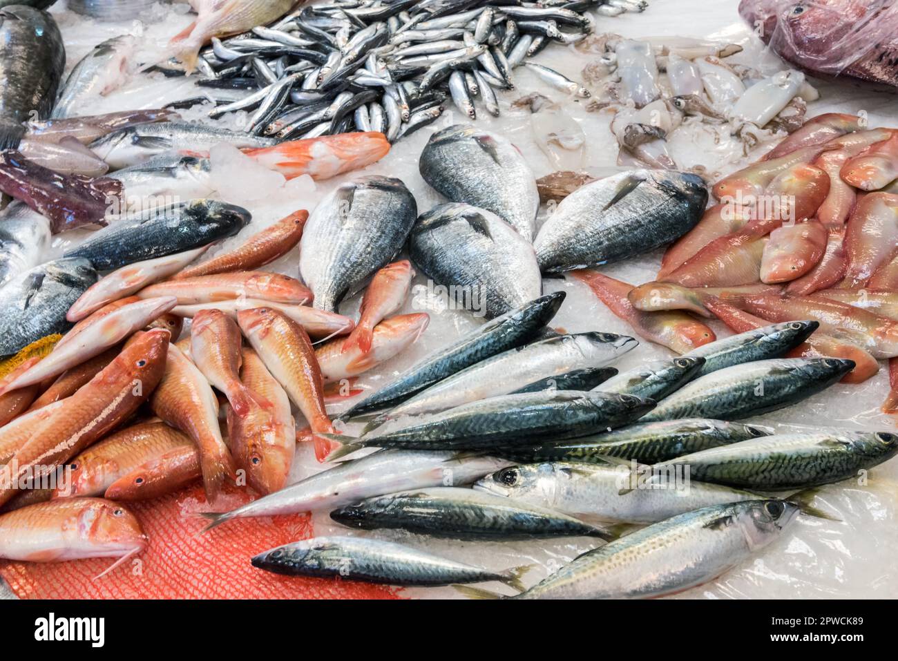 Large selection of fish at a market in Palermo, Sicily Stock Photo - Alamy