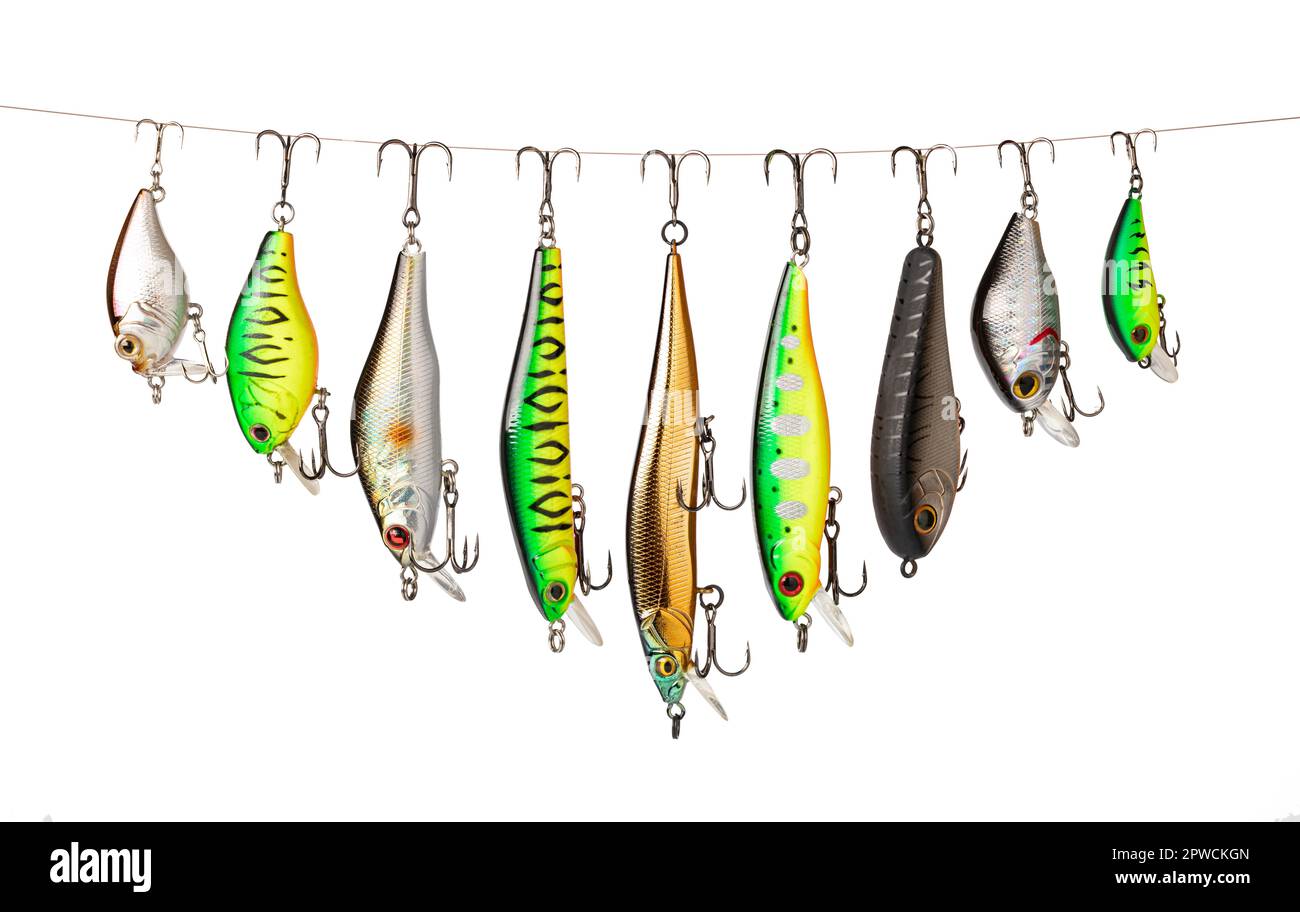 White bait hi-res stock photography and images - Alamy