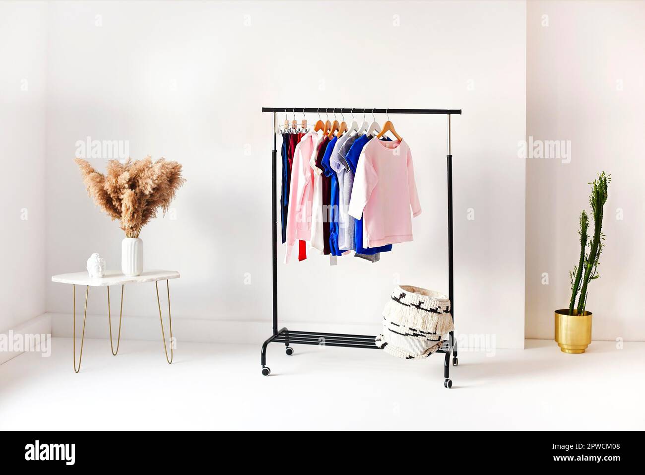 Rack with various feminine shirts placed in minimalist style room with ...