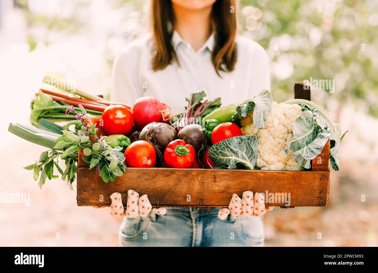 Unrecognizable woman in gloves demonstrating wooden crate with various ...