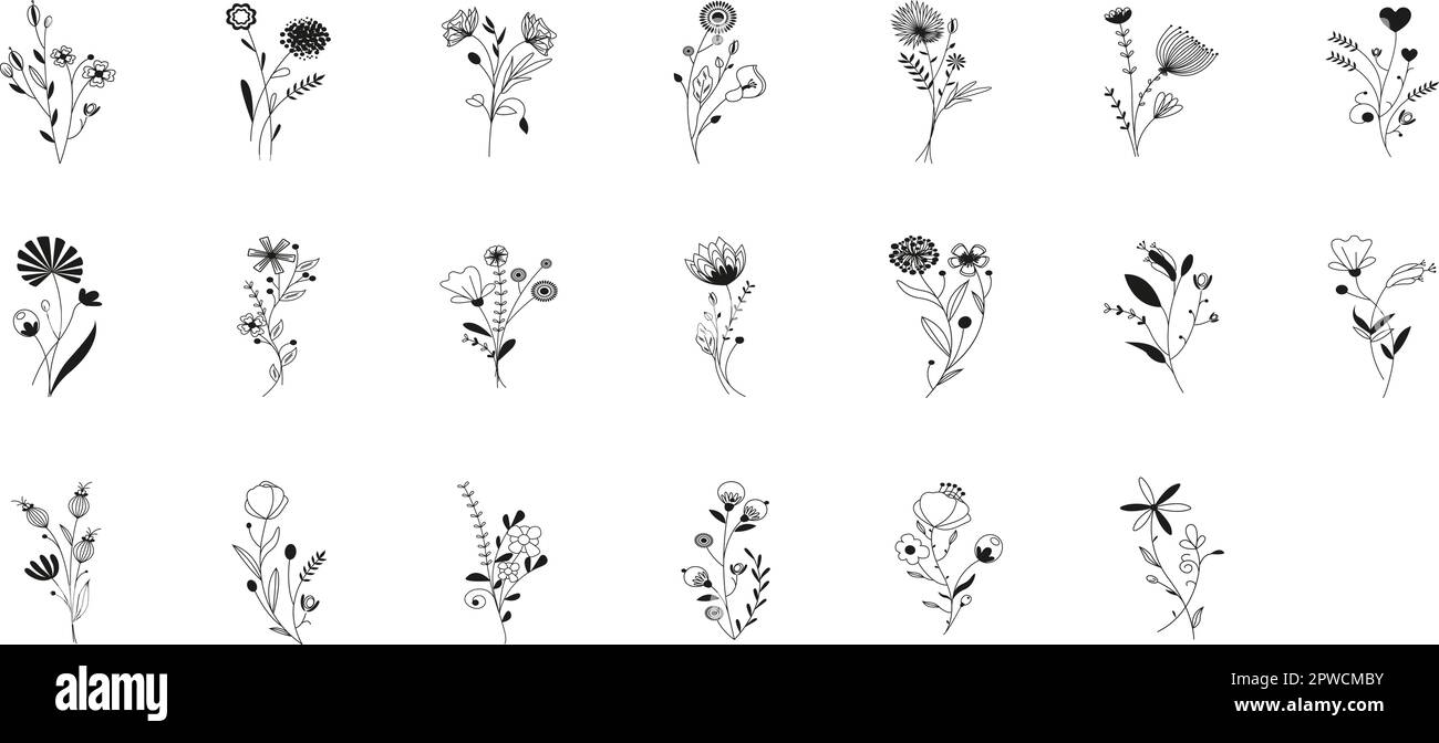 Collection hand drawn branches and leaves isolated on white background ...