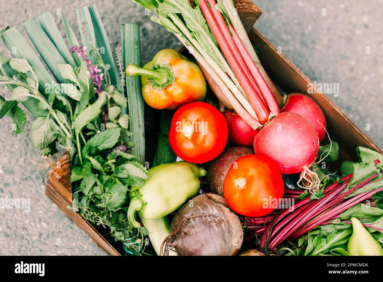 Top view of carton container with harvest of various fresh vegetables ...