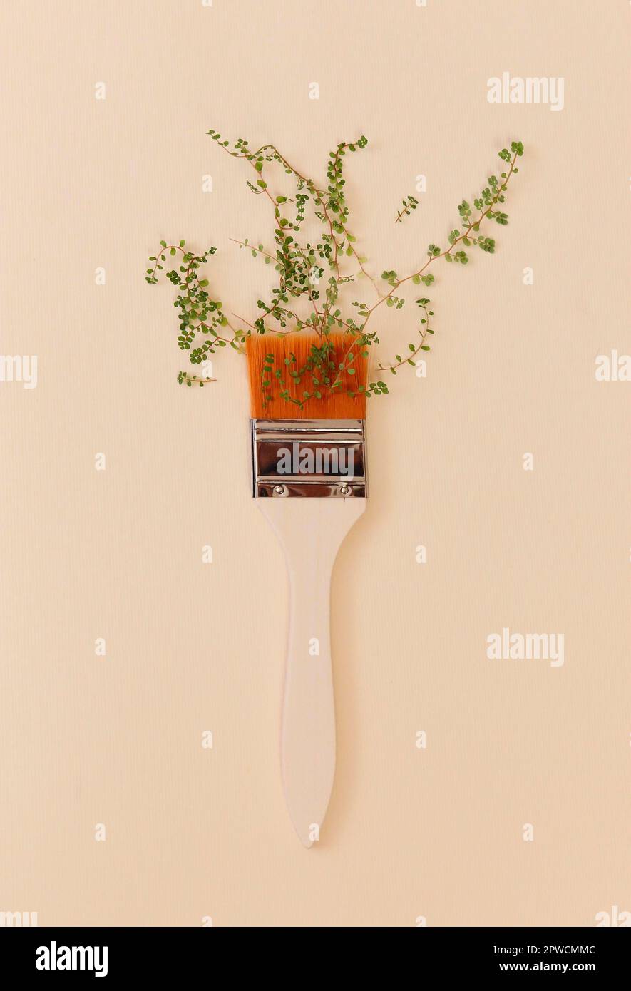 Spring symbol. Creative composition of paint brush with white handle ...