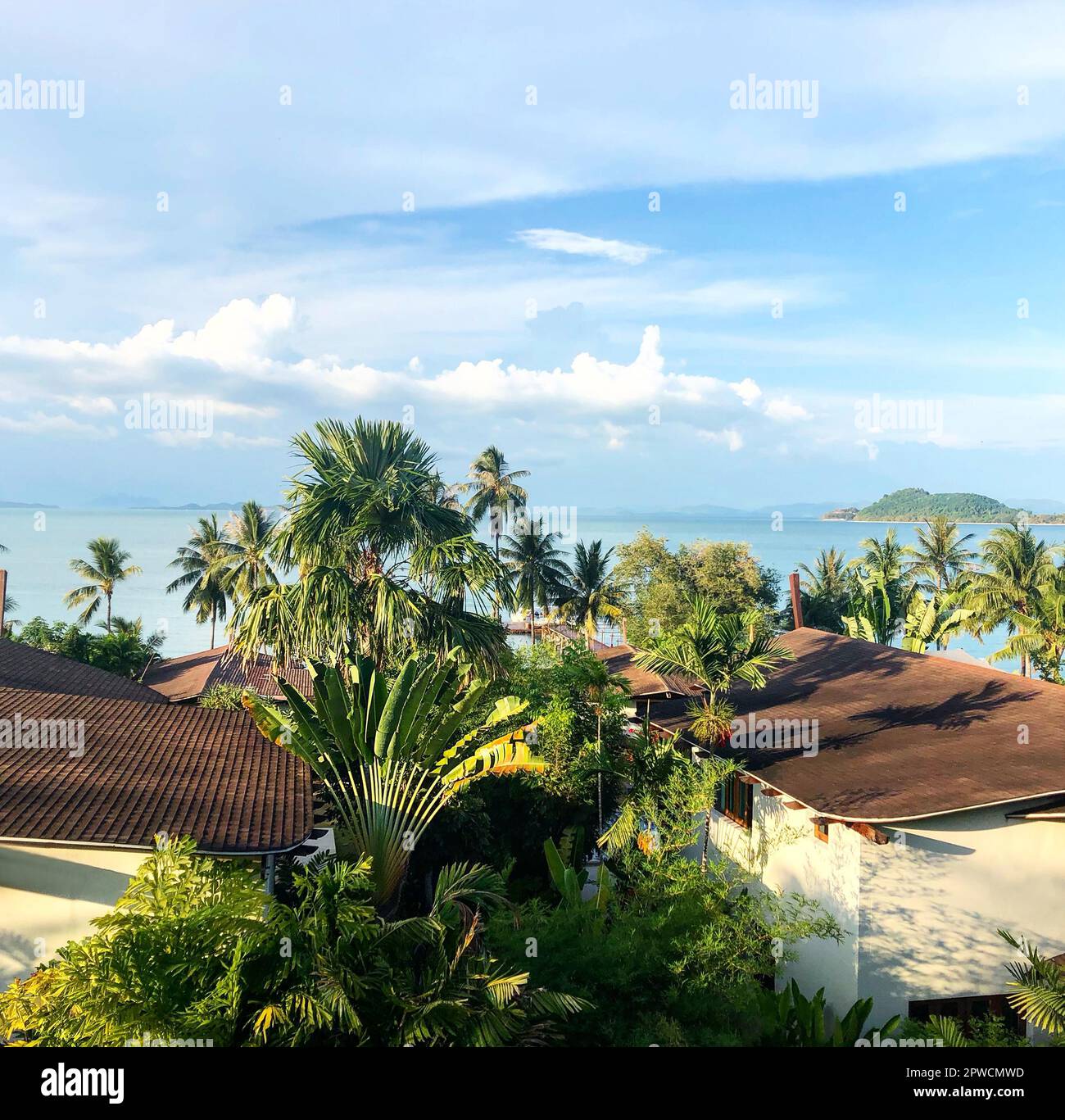 Aerial view of red roofs of houses, palms and ocean. Tropical landscape ...