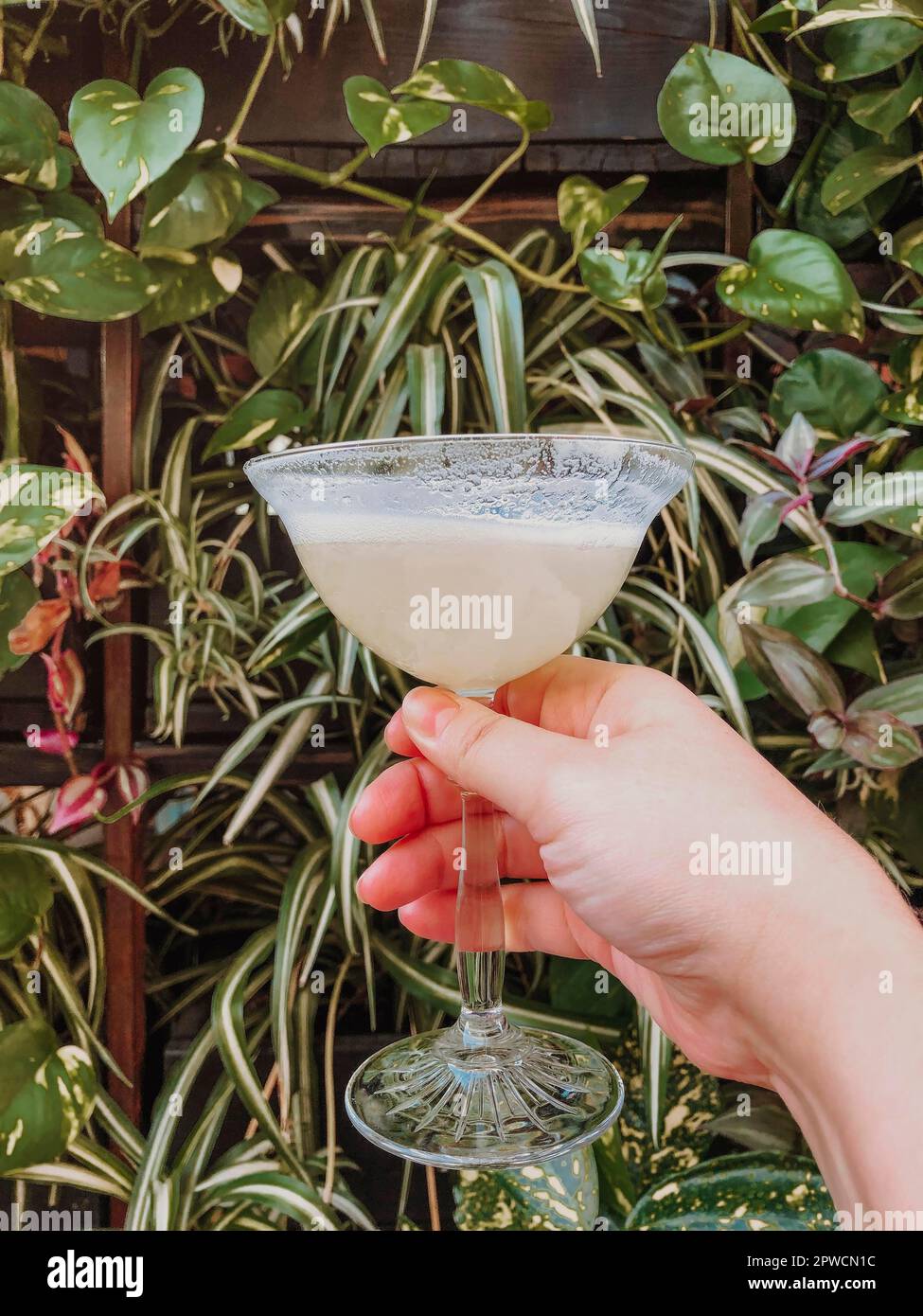 Close up photo of female hand holding classic margarita cocktail drink ...