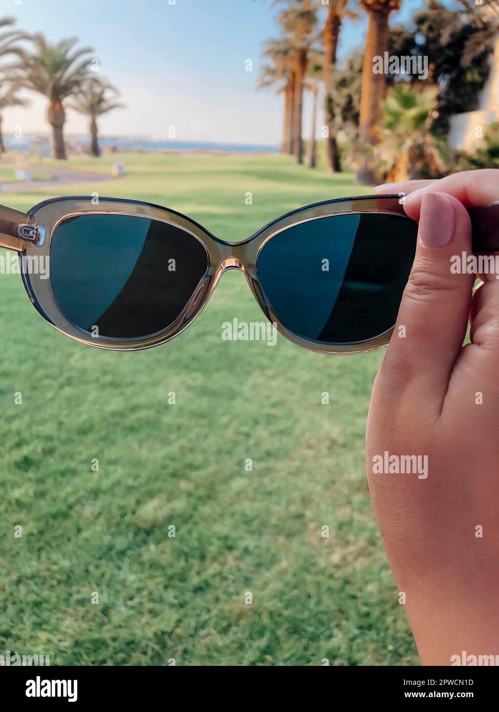 Female hand holding designer sunglasses in hand while enjoying tropical ...