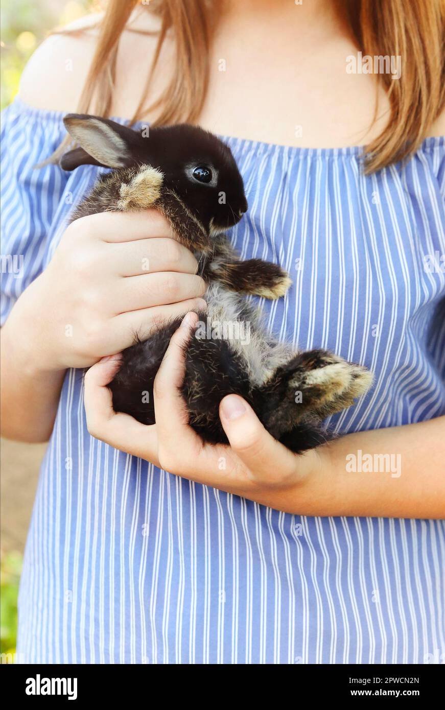 Cropped photo of teen girl in blue striped dress holding fluffy ...