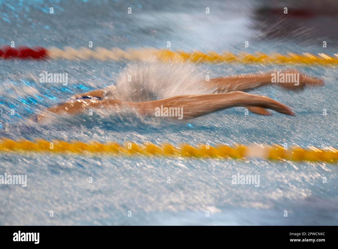 Swimming Butterfly Stroke Silhouette