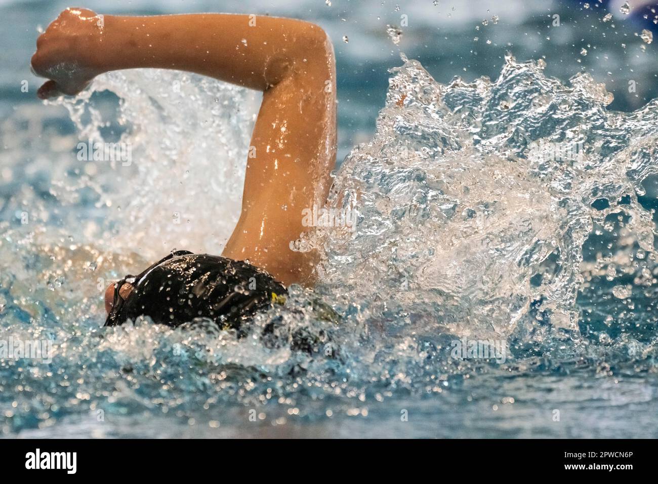 Swimmer, crawl arm pull, Stuttgart, Germany Stock Photo - Alamy