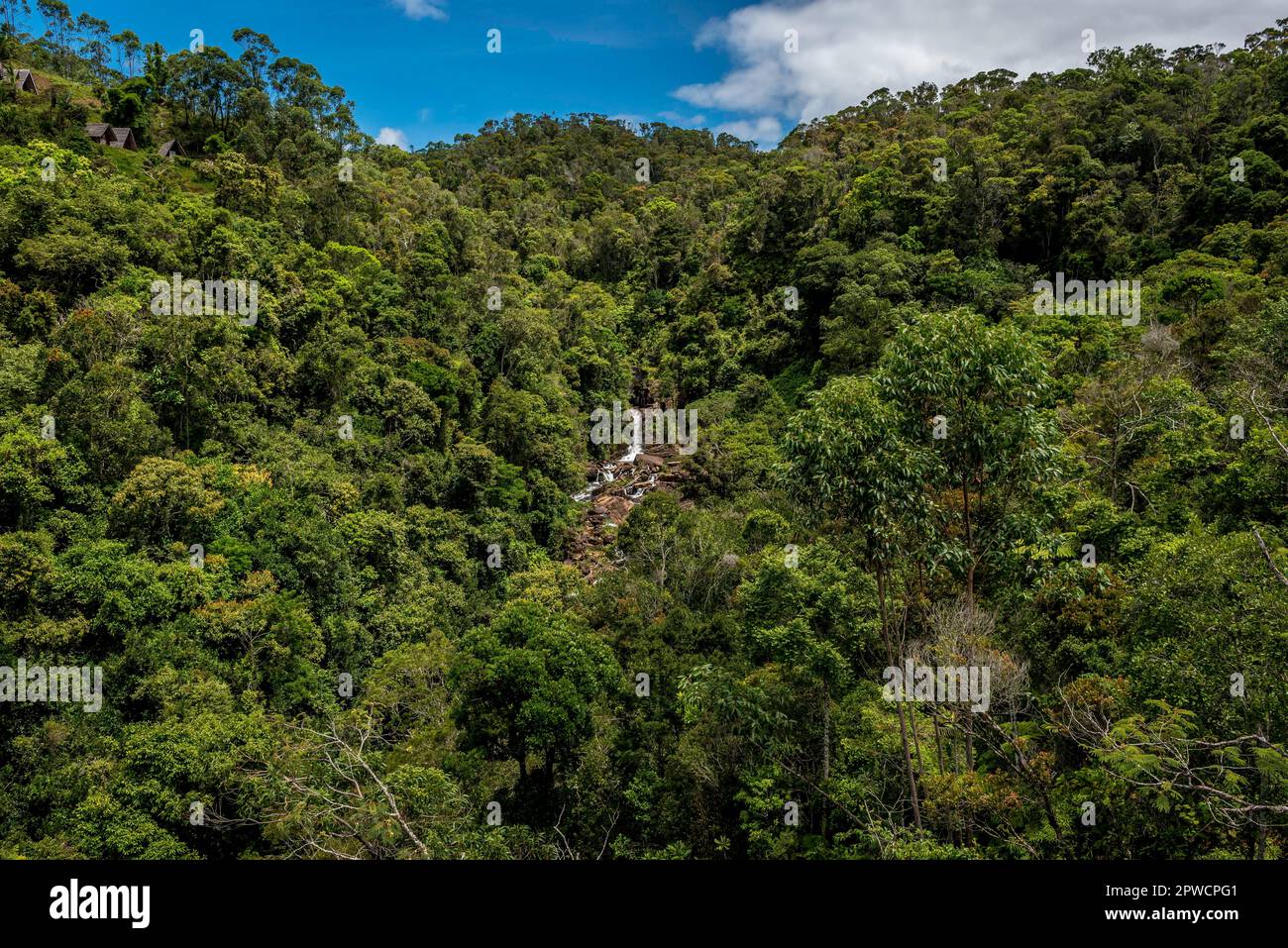 Eastern madagascar rainforest hi-res stock photography and images - Alamy